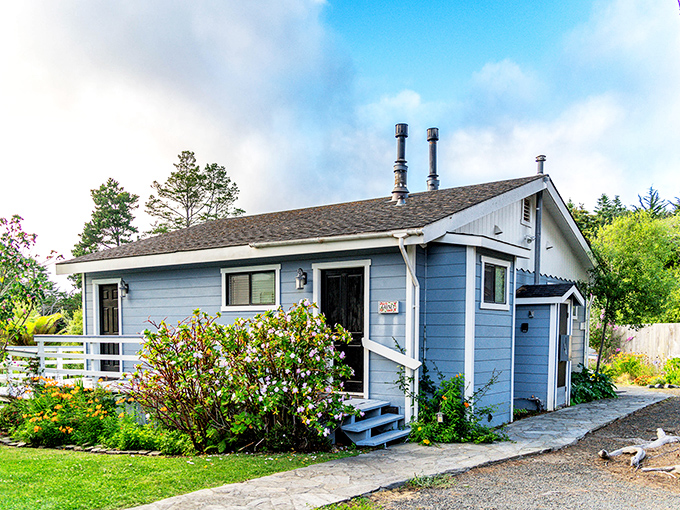 Blue cottages like this one dot Mendocino's landscape, offering cozy retreats where the soundtrack is simply wind, waves, and the occasional seagull commentary.