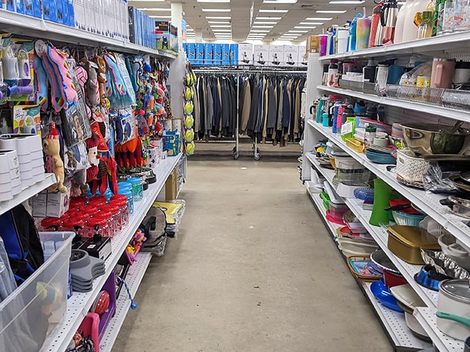 An aisle where household goods and children's toys create a colorful gauntlet of possibilities for under $5.