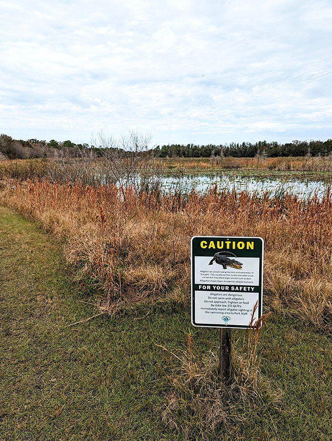 Nature's version of "Beware of Dog." This sign reminds visitors that in Florida, the prehistoric residents still have swimming privileges.