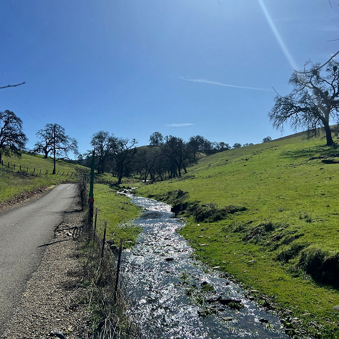 Amador Creek Road winds alongside nature's soundtrack&mdash;a babbling brook that's been serenading travelers for centuries.