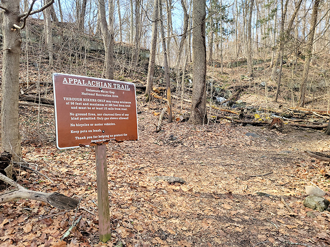 The Appalachian Trail doesn't need neon signs. Its simple markers have guided adventurers through some of America's most breathtaking backyard. 