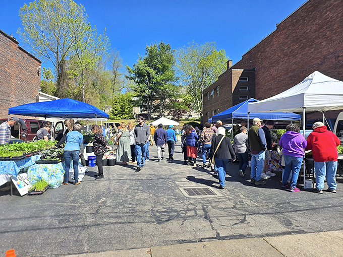 The farmers' market buzzes with community energy as locals hunt for the perfect tomato with the same intensity as finding designer deals at Nordstrom Rack.