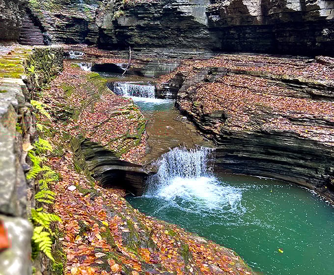 Autumn transforms the gorge into nature's watercolor painting. Fallen leaves create a rustic carpet that crunches satisfyingly underfoot.
