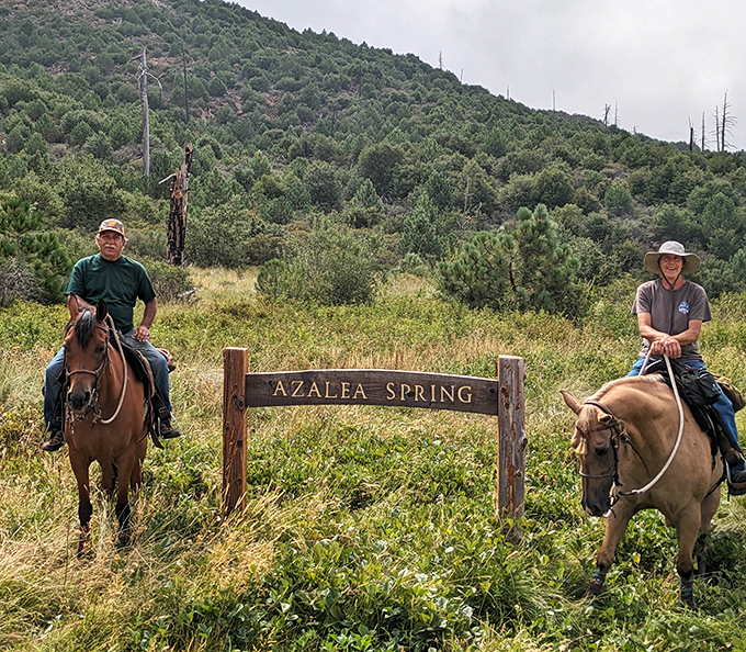 Azalea Spring trail riders discover that some of California's best views aren't found on coastal highways but along mountain paths less traveled.