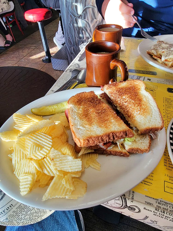 A grilled sandwich that proves simplicity still wins. Those perfectly toasted bread edges create the satisfying crunch that makes life worth living.