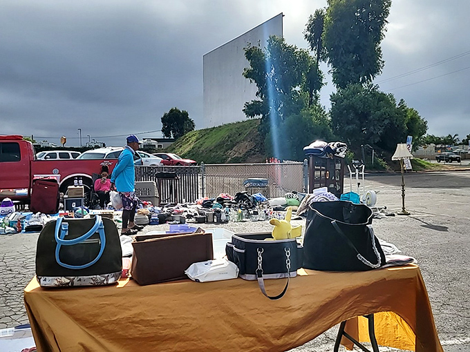 Handbags in waiting formation. From practical totes to statement pieces, these bags stand ready for their second chance at accessorizing greatness.