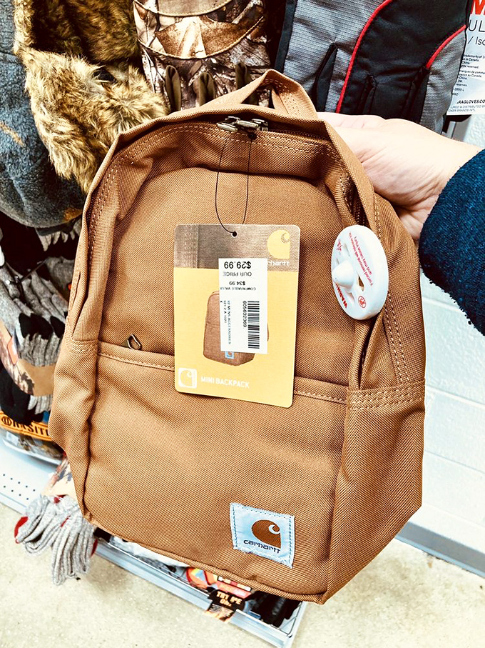 Adventure-ready backpacks with brand recognition and budget-friendly price tags—proof that carrying your essentials doesn't have to carry a heavy cost.