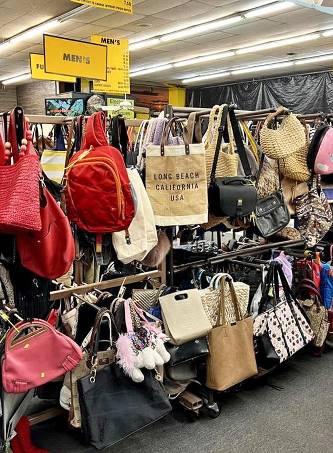 Bags in every style imaginable, from beach-ready totes to sophisticated purses, all peacefully awaiting their next adventure companion.