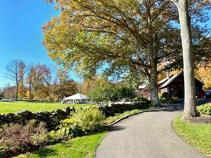 Stone walls and autumn trees frame this pastoral scene at Baldwin Brook Farm, where Connecticut countryside offers visual wealth regardless of your bank balance.
