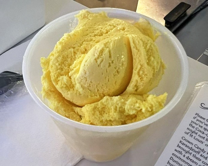 Banana ice cream so vibrant it practically glows. This isn't just dessert&mdash;it's sunshine in a cup, waiting to brighten your day.