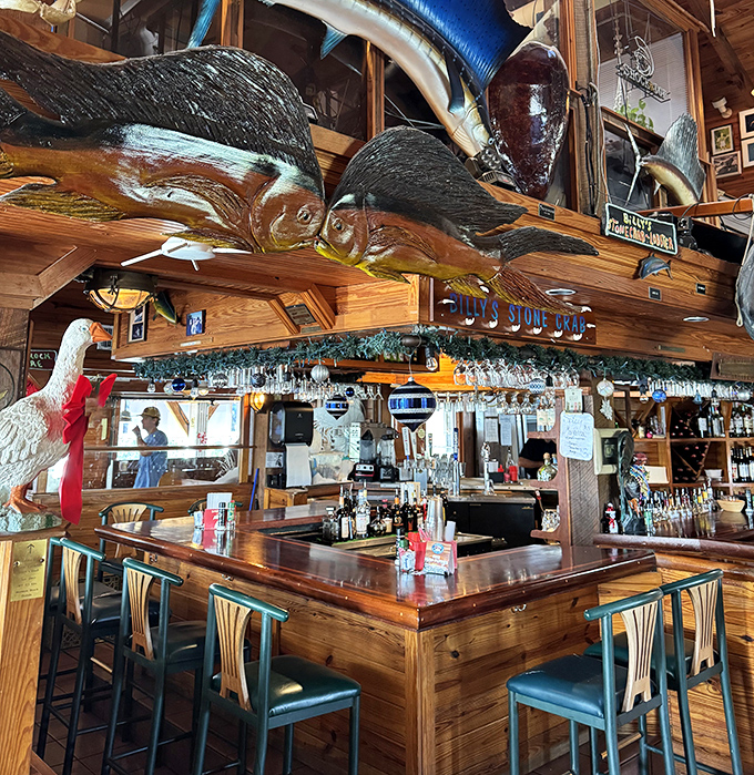 The bar area where mounted fish seem to approve of your drink choices from their wooden perches above.