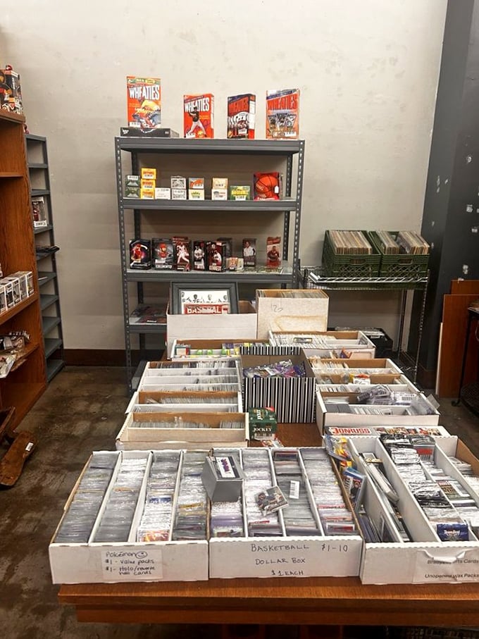Sports card heaven awaits collectors, with meticulously organized boxes of baseball memories that turn grown men into excited ten-year-olds again.