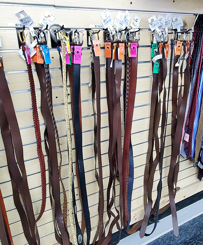 Belt display that proves you don't need to tighten your budget to keep your pants up. That braided leather one would make any cowboy proud.