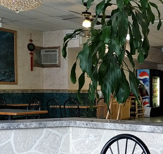 Houseplants stand sentinel in the dining room, adding a touch of life to a space where food, not d&eacute;cor, rightfully takes center stage.