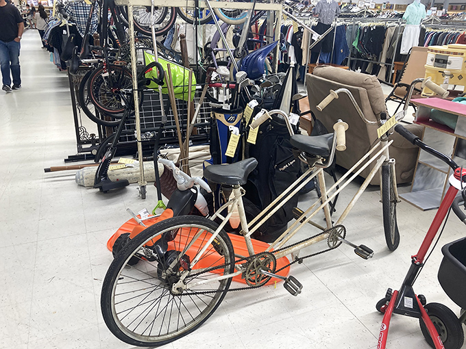 The tandem bicycle paradox: twice the seats, three times the conversation starter, and infinitely more interesting than a regular bike.
