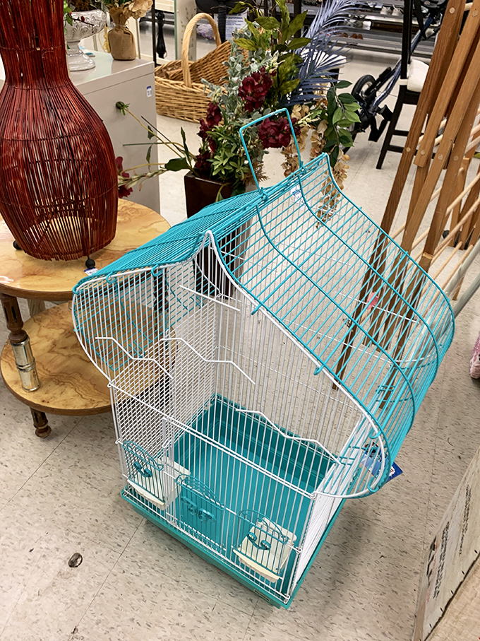A turquoise birdcage that makes you consider pet ownership, or at least a decorative statement piece. Previous tenant's forwarding address not included.
