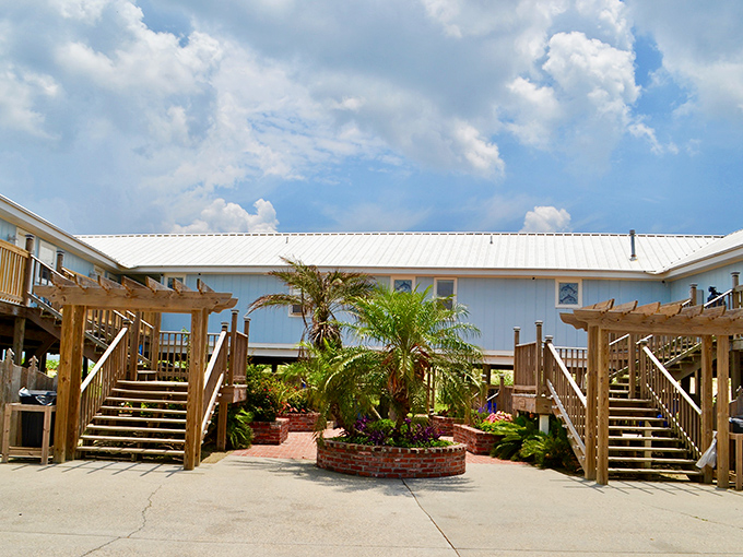 Blue Dolphin Inn welcomes guests with tropical plants and easy beach access, offering comfort without pretension or unnecessary fuss.