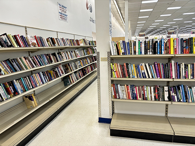 Bibliophiles rejoice! These well-stocked shelves offer literary journeys for pocket change&mdash;proof that good stories deserve second readings.