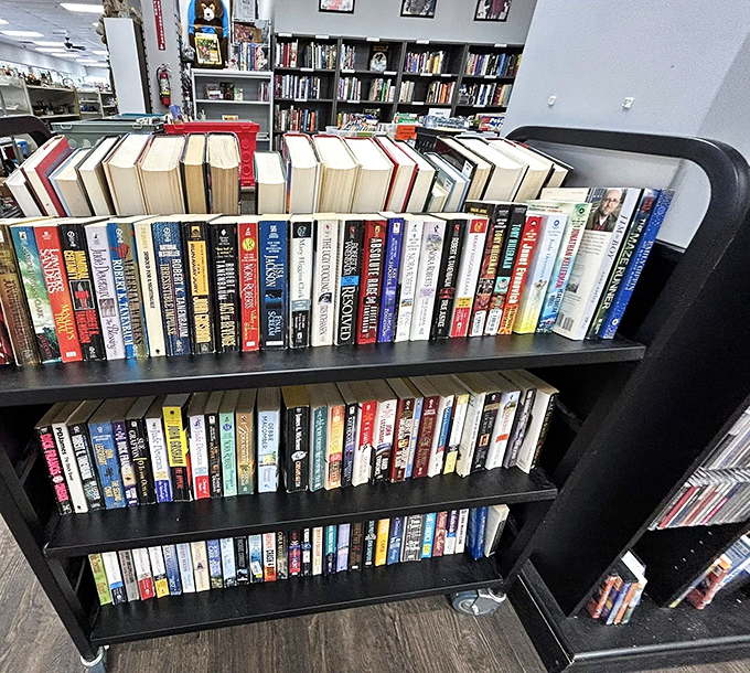 Bookworm's dream! Enough reading material to survive both a long winter and the inevitable zombie apocalypse&mdash;all for less than one new hardcover.