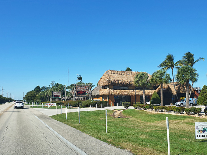 Thatched roofs in the Keys aren't just architectural choices—they're promises of cold drinks, fresh seafood, and stories that improve with each telling.