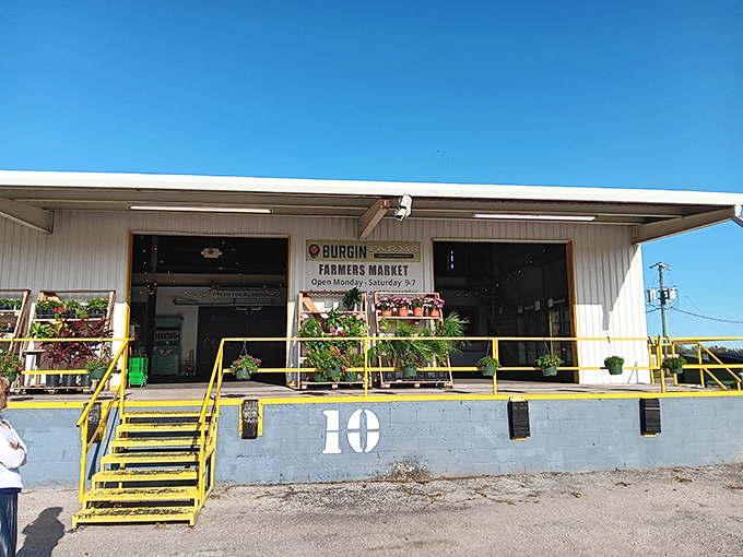 Burgin Farms Market offers locally grown produce without big-box store prices. The yellow steps lead to vegetable nirvana&mdash;where tomatoes actually taste like tomatoes should. 