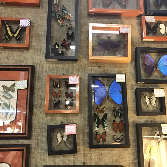 Mickey merchandise proving that some icons never go out of style, just become more collectible with time.