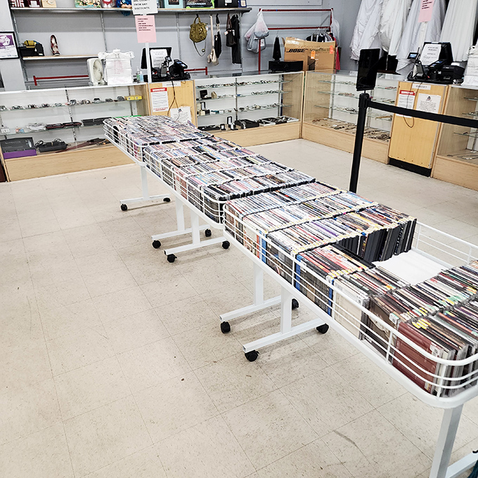 A media buffet stretches before you. Those DVDs represent thousands of hours of entertainment for pennies on the dollar.