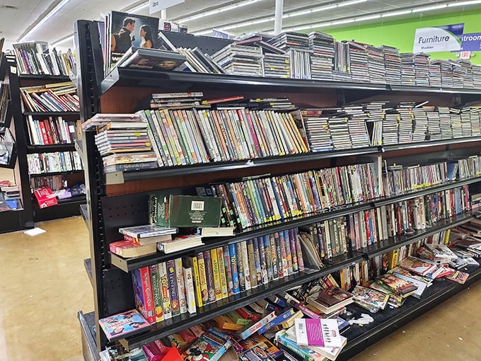 The media section—where forgotten DVDs and CDs become weekend entertainment gold. Yesterday's blockbusters at blockbuster-busting prices!