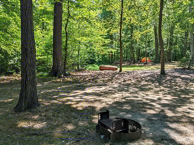 A simple fire ring awaits storytellers and marshmallow enthusiasts at the campground. Some of life's best moments happen around these humble circles of stone.