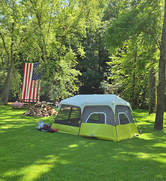 The perfect campsite: green grass, tall trees, and enough space between neighbors to pretend you're the only humans in the forest.