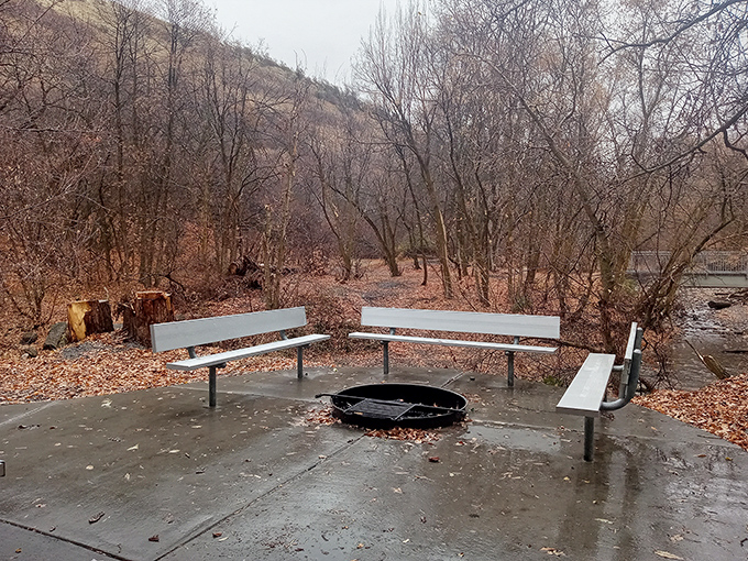 Even on a gray day, this campsite's fire pit promises stories and s'mores&mdash;the original social network of the great outdoors.