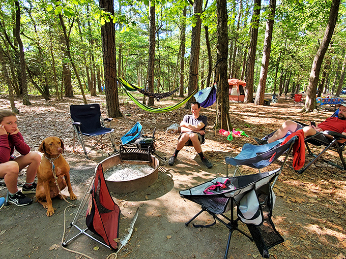 Campsite nirvana where stories and s'mores flow freely. That hammock is practically begging you to bring a book and stay awhile.