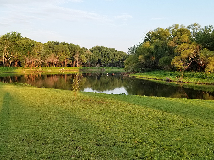 Card Creek's tranquil waters reflect surrounding trees, providing a peaceful setting for contemplation that costs absolutely nothing.