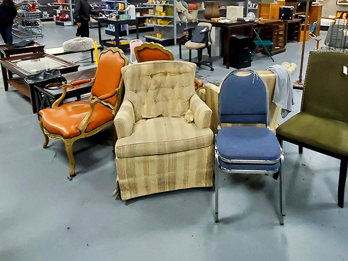 The furniture section: where mid-century meets last-Tuesday. That cream armchair has hosted conversations you can only imagine.