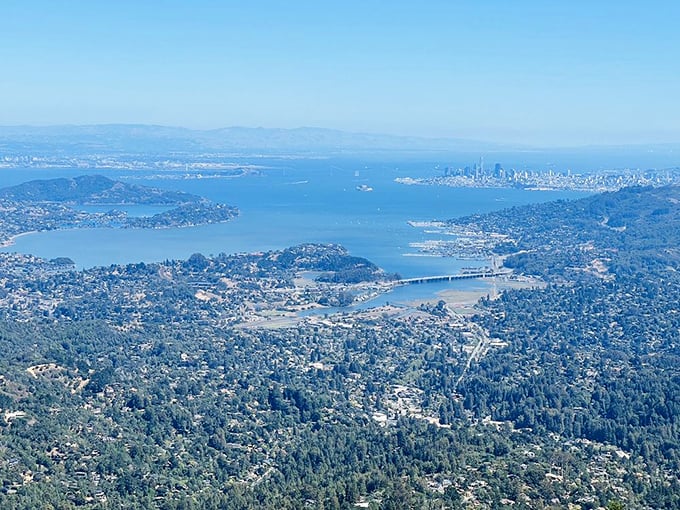 The ultimate reward for huffing up Mount Tam&mdash;San Francisco and the Bay spread below like a living map of Northern California.