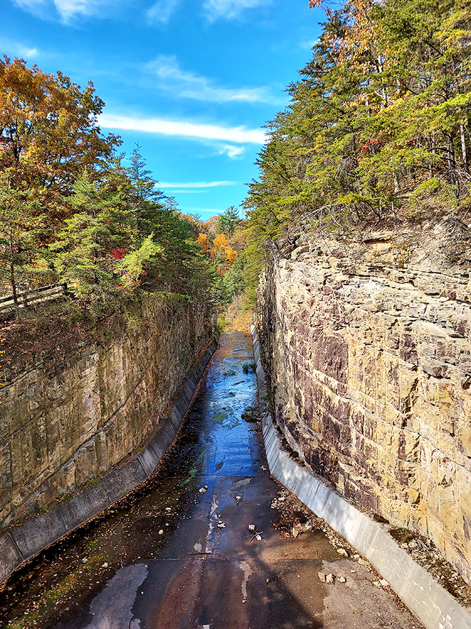 The gorge trail offers a glimpse into the geological forces that shaped this landscape. Nature's own cathedral, carved one water droplet at a time.