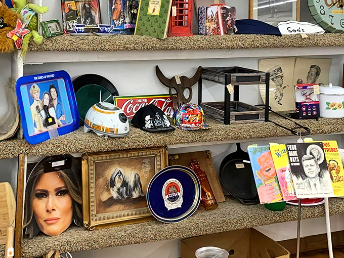 Pop culture time capsules line these shelves, where yesterday's merchandise becomes today's collectibles and tomorrow's conversation starters.