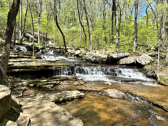 Welcoming storefronts like this one are the backbone of Heber Springs' charm, where American flags wave and friendly faces greet you by name.