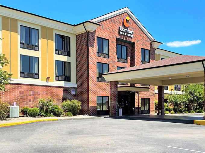 Even chain hotels like this Comfort Inn embrace Rogersville's brick aesthetic, proving corporate can have character too.