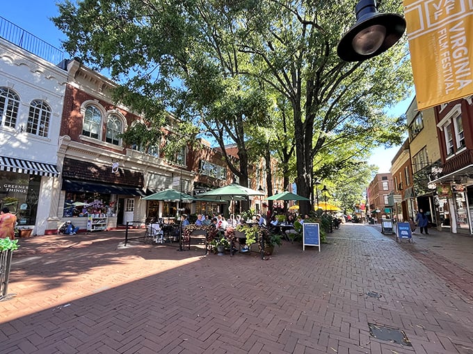 Outdoor dining under dappled sunlight &ndash; Charlottesville's Downtown Mall perfects the art of people-watching while enjoying a leisurely meal.