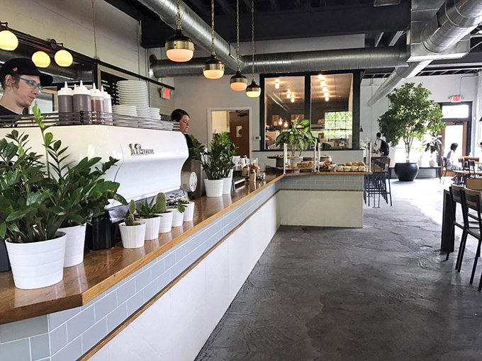 Plants line the wooden counter, softening industrial edges while baristas craft drinks with scientific precision. Coffee as performance art.