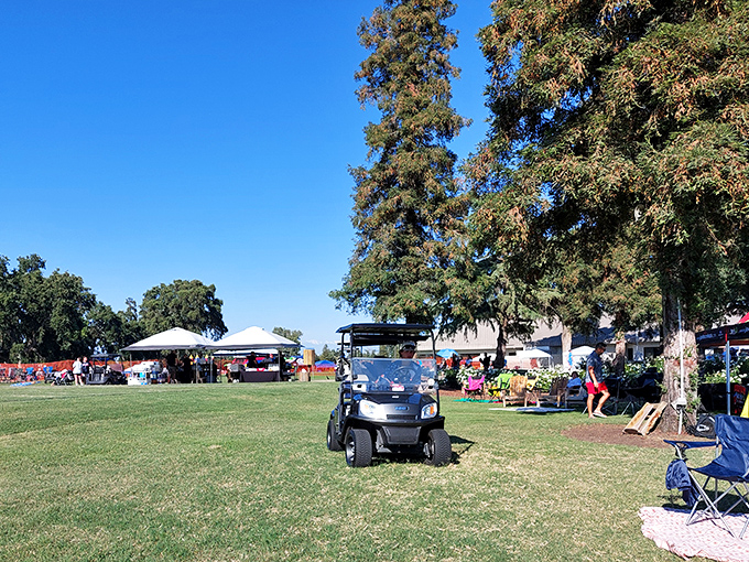 Open green spaces host community events where people actually talk to each other instead of staring at their phones&mdash;revolutionary concept, I know.