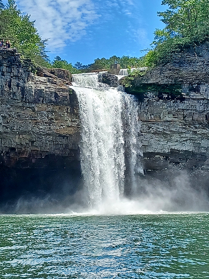 DeSoto Falls plunges dramatically into emerald waters – Mother Nature showing off her best party trick.