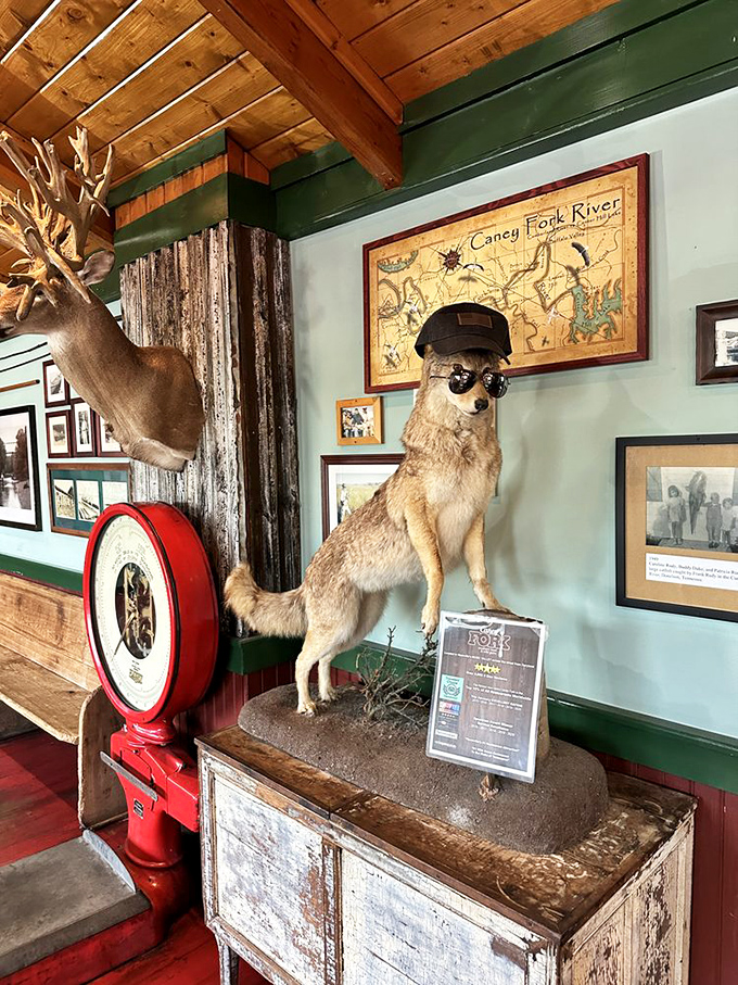 That taxidermied dog with sunglasses isn't just decor&mdash;he's the unofficial greeter who's seen it all and still thinks the food is worth staying for.