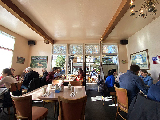 The dining room fills with natural light and the happy chatter of people discovering their new favorite breakfast spot.