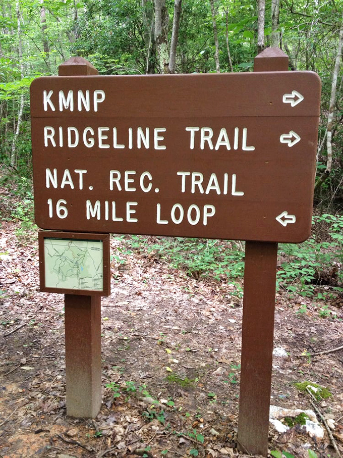 Trail signs: the original GPS system that never loses signal, runs out of battery, or recalculates while you're trying to enjoy nature.