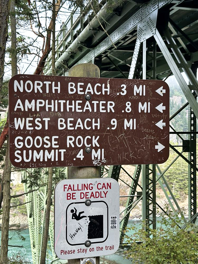 Trail signs that promise adventure in every direction. The "falling can be deadly" warning adds that perfect touch of drama.