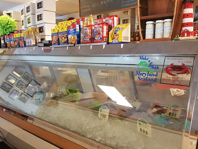 Behind this glass lies the promise of tomorrow's dinner—fresh catches waiting to become the highlight of your week.