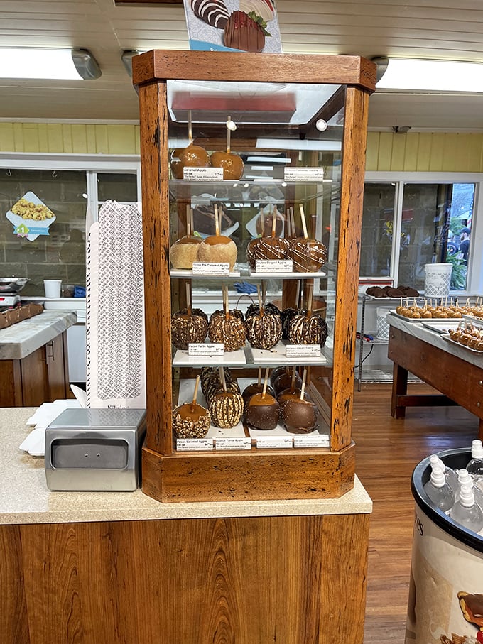 The caramel apple display case &ndash; nature's perfect fruit transformed into something wonderfully unnecessary yet absolutely essential.