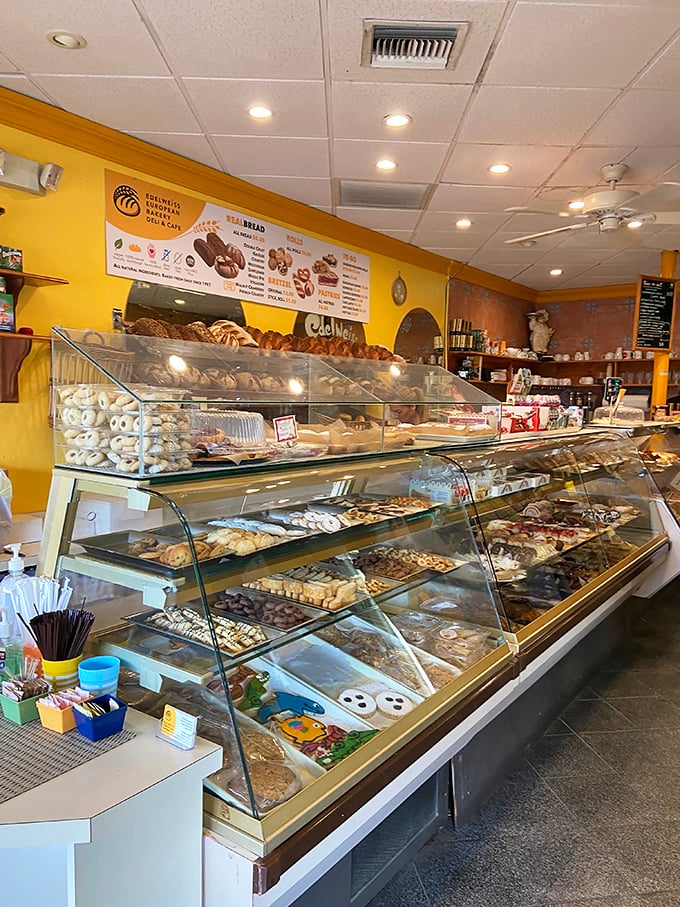 That display case is basically adult Disneyland, except the lines are shorter and everything's edible.